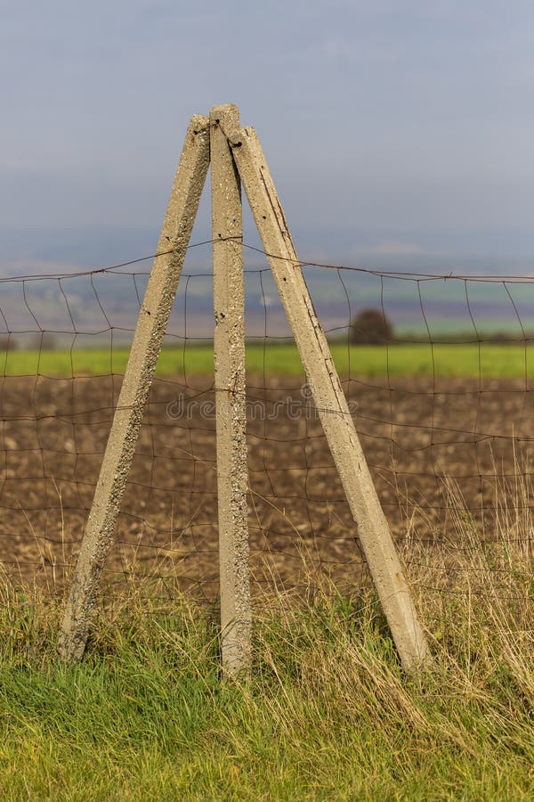 Concrete Thin Posts in the Field between Which There is a Tensioned ...