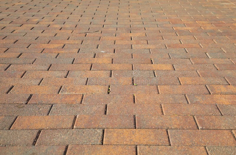 Concrete Tile for Garden Paths S. Top View Stock Image - Image of paths ...