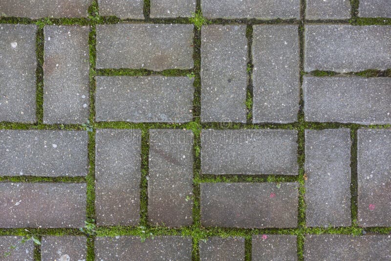 Concrete Tile on the Ground Pavement Path Abstract Pattern Texture ...