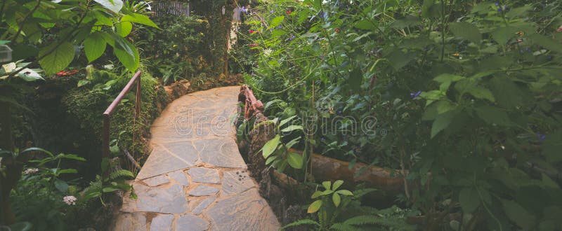 Path along jungle stock image. Image of ruins, branch - 120704947