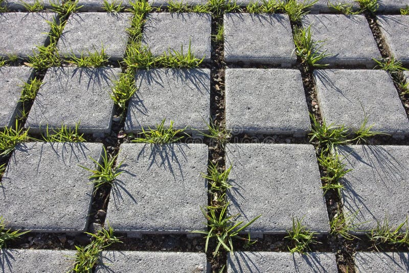 Concrete tiles on ground stock image. Image of repeat - 193262661
