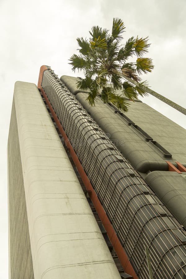 189 Nature Vs Tree Stock Photos - Free & Royalty-Free Stock Photos from ...