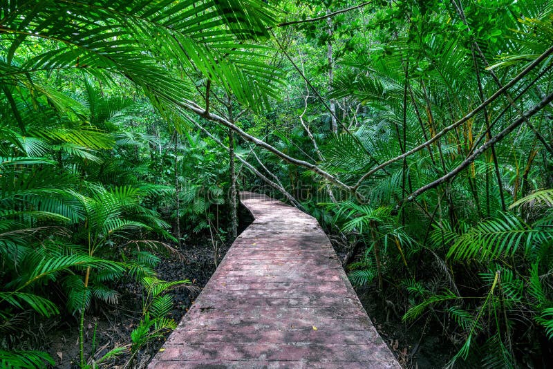 Concrete Walking Trail in a Nature Park Stock Image - Image of ...