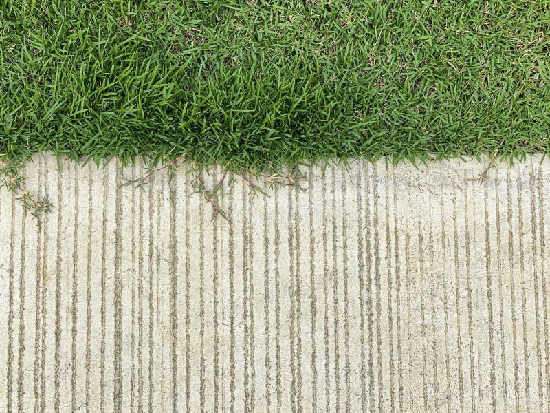 Concrete Walkway with Green Grass Stock Photo - Image of lawn, pathway ...