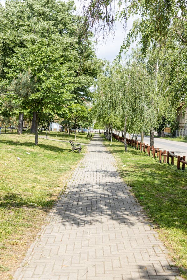 Concrete Walkway through the Park with Trees on a Sunny Spring Day ...