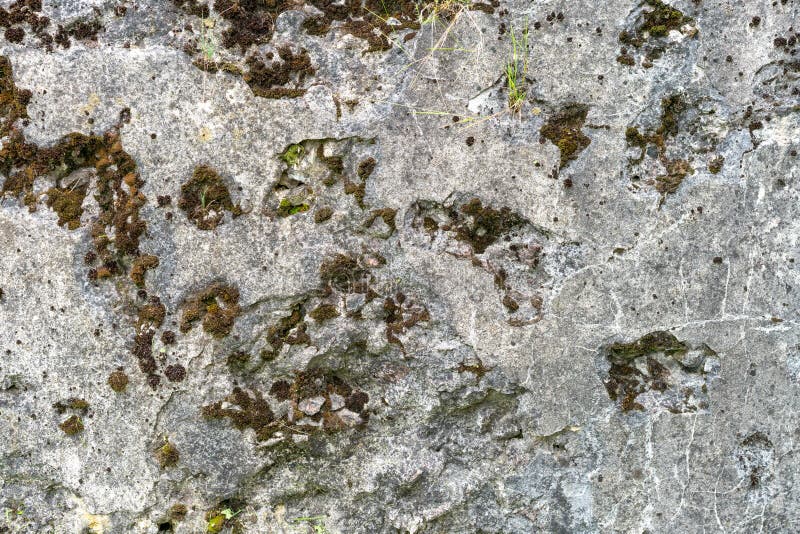 Texture of the Destroyed Brick Wall Stock Image - Image of interior ...