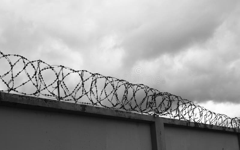 Concrete Wall with Barbed Wire on Fence Stock Photo - Image of defense ...