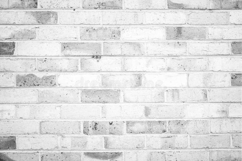 Full Frame Shot of White Concrete Wall Textured and Background. Stock ...