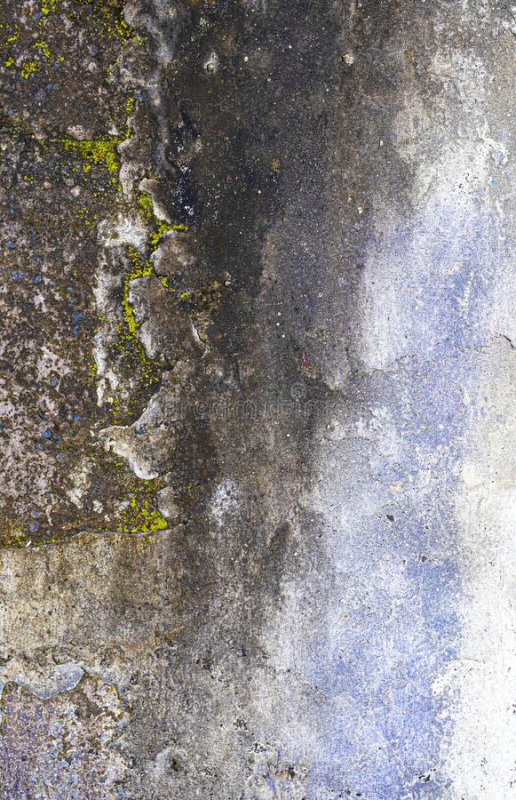 Concrete Wall Covered in Mildew and Mold Grunge Texture Stock Image ...