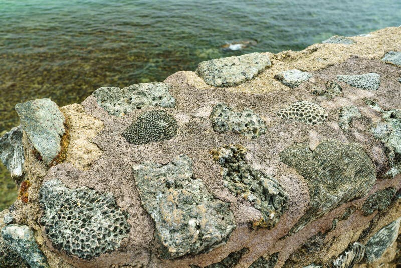 Concrete Wall of the Fortress with Corrals of Various Shapes Stock ...
