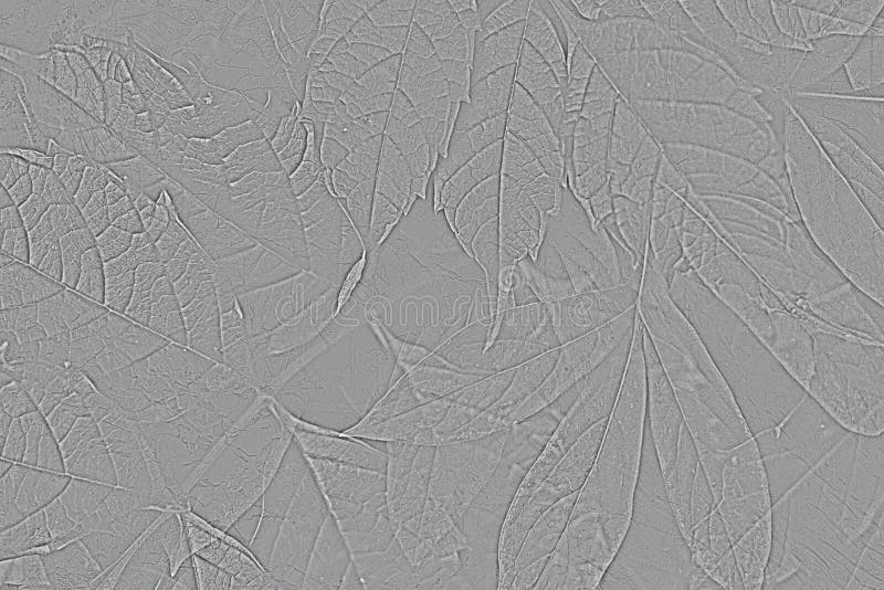 Concrete Wall with Gray Leaf Texture, Abstract Simple Backgrounds Stock ...