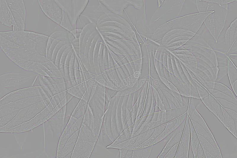 Concrete Wall With Gray Leaf Texture, Abstract Simple Backgrounds Stock ...