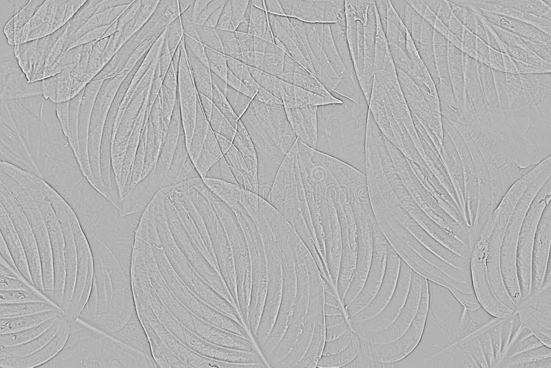 Concrete Wall with Gray Leaf Texture, Abstract Simple Backgrounds Stock ...