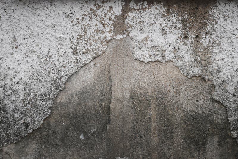 Concrete Wall With Grunge Texture And Moss Green Algae , Texture Stock ...