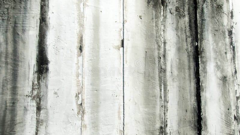 The Concrete Wall Has Black Moss on it and the Sunlight Hits it Stock ...