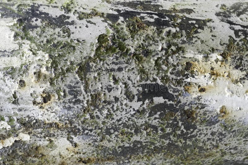 Concrete Wall with Mildew Wallpaper and Background Texture Stock Image ...