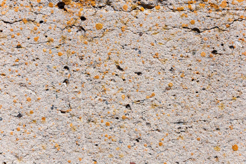 Concrete Wall Surface Texture.Close-up Shot. Stock Image - Image of ...