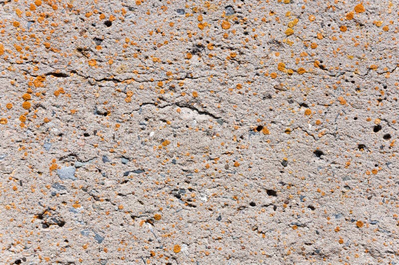 Concrete Wall Surface Texture.Close-up Shot. Stock Photo - Image of ...