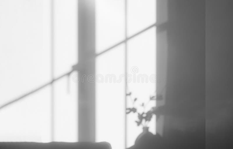 Concrete Wall Texture Background with Leaves Shadow,Grey Cement Wall ...