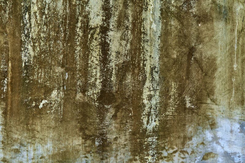 Concrete Wall Texture with Green Mold Stains Stock Image - Image of ...