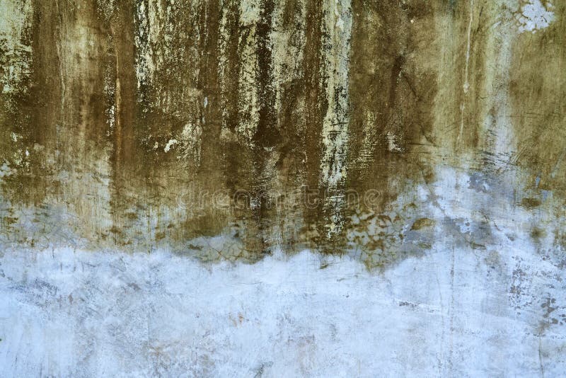 Concrete Wall Texture with Green Mold Stains Stock Photo - Image of ...