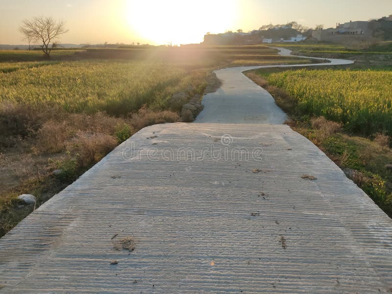 Concrete Way Crossing the Fields Stock Photo - Image of landscape, soil ...