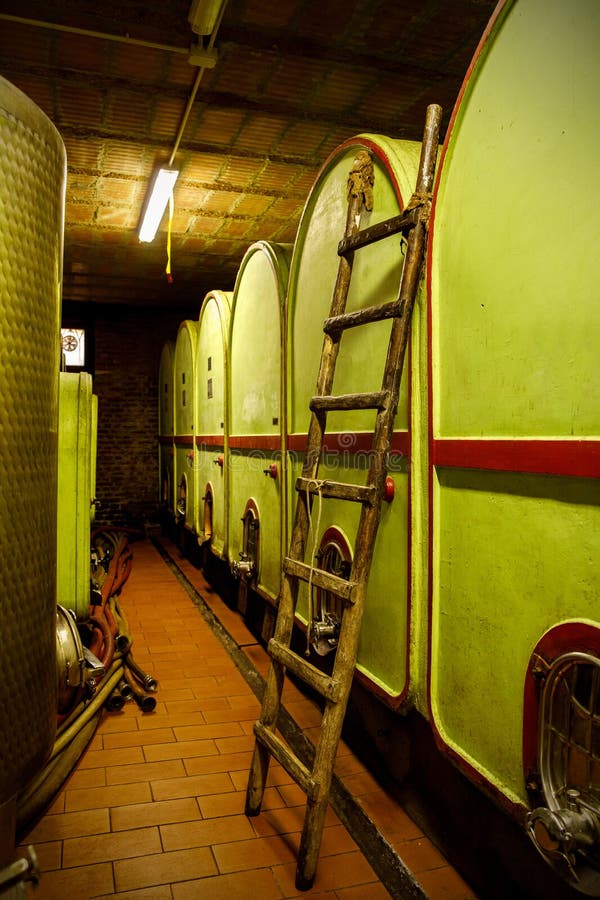 Cellar Room with Concrete Wine Tanks. Stock Photo - Image of ...