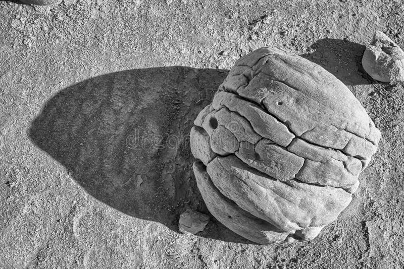 Concretion Rocks in Desert Anza Borrego State Park Stock Image - Image ...