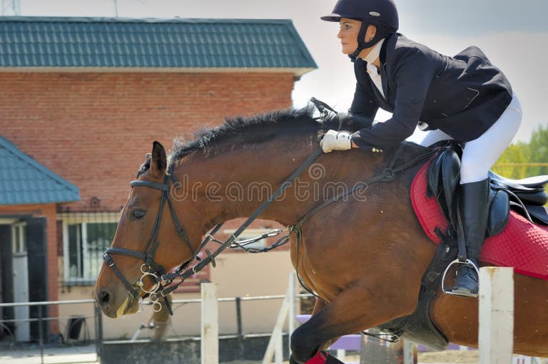 173 Concur Mer Stock Photos - Free & Royalty-Free Stock Photos from ...