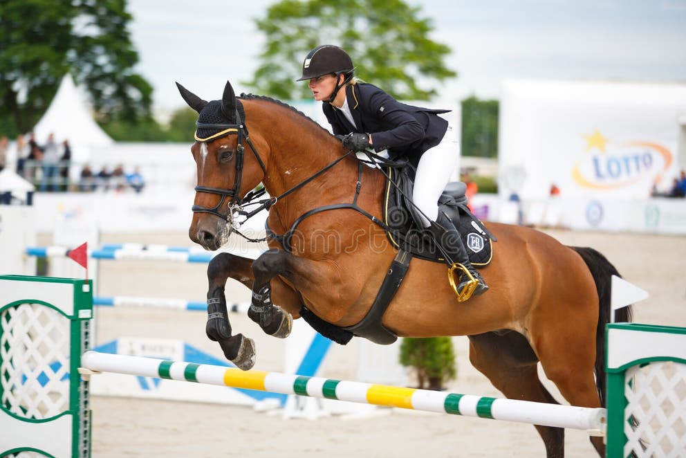 Concurrence 2017 De CSIO Sopot Image stock éditorial - Image du rapide, baltique: 94860899
