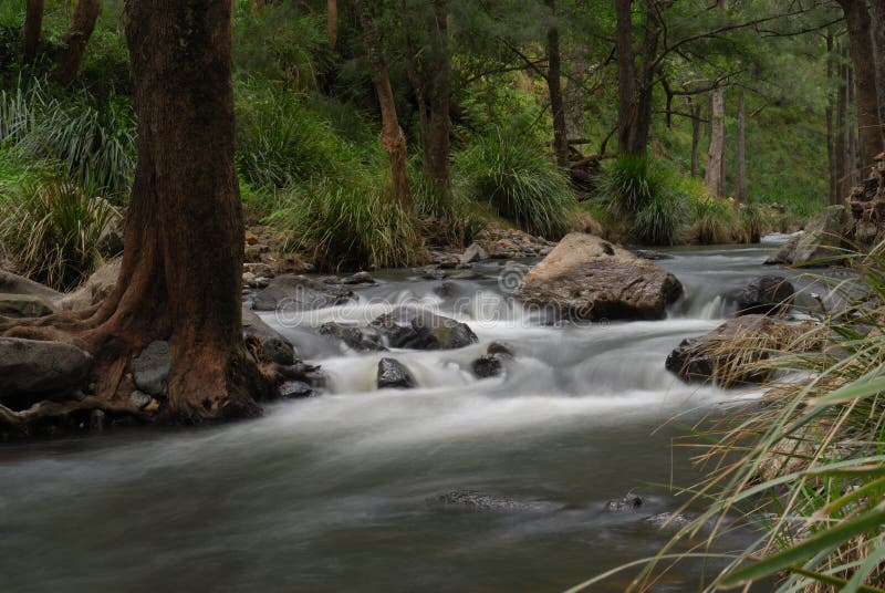 Condamine River QLD stock photo. Image of waters, streaming - 18548630
