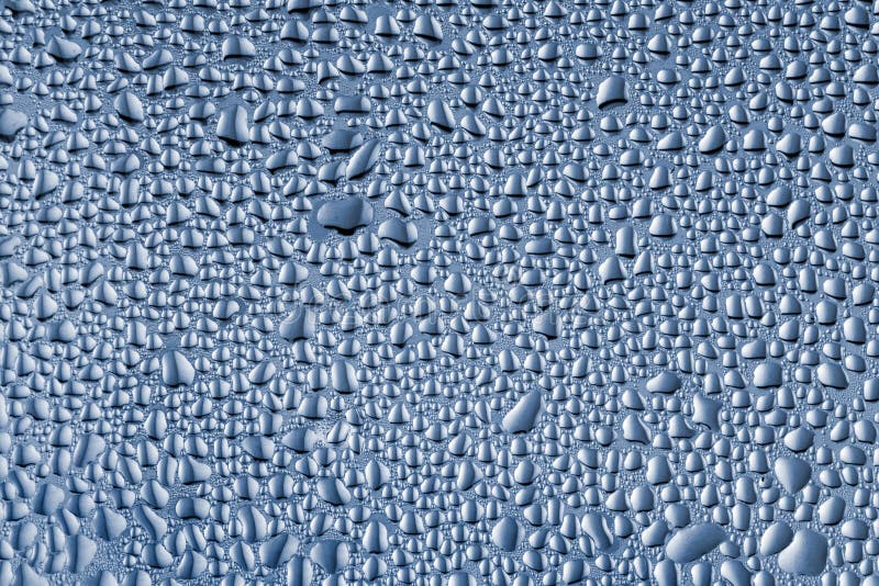 Wood worm holes stock photo. Image of background, brown - 8094742