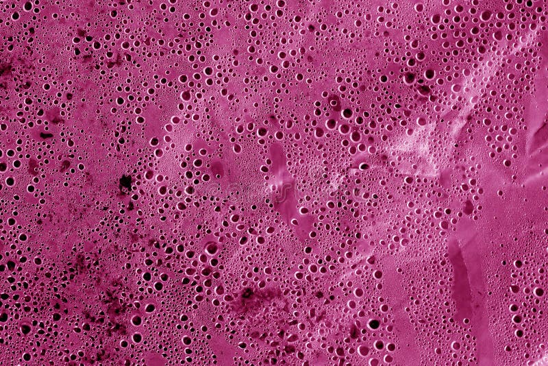 Condensation Drops on Plastic Transparent Material in Pink Tone. Stock ...