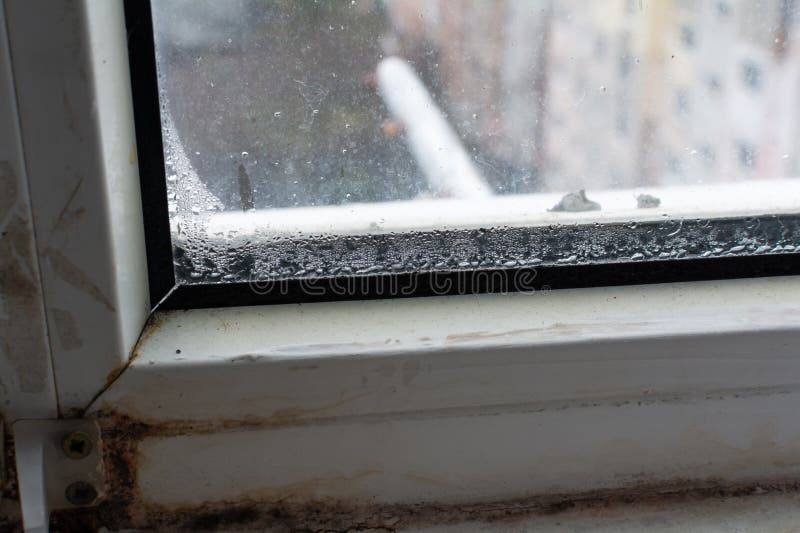 Condensation, Rust and Mold on PVC Windows. Low-quality PVC Windows ...