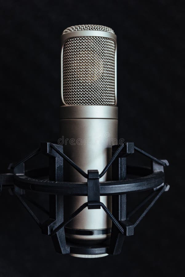 Condenser Professional Microphone Stock Image - Image of concert ...