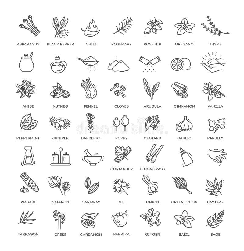 Condiment Icons Set. Outline Set of Condiment Vector Icons Stock Vector ... Condiment Icons Set. Outline Set of Condiment Vector Icons Stock Vector ...