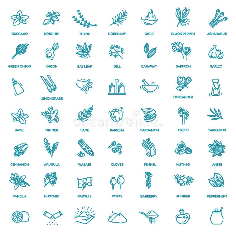 Condiment Icons Set. Outline Set of Condiment Vector Icons Stock ...