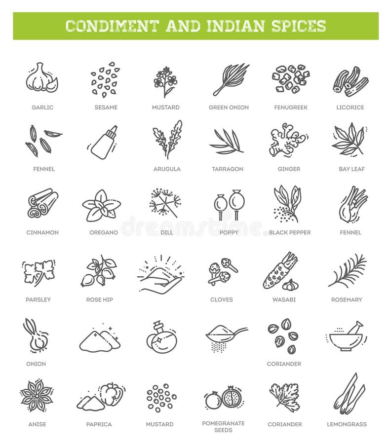 Condiment Icons Set. Outline Set of Condiment Vector Icons Stock Vector ...