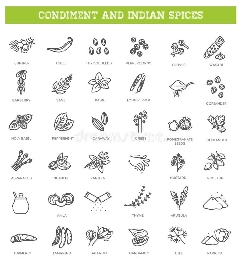 Condiment Icons Set. Outline Set of Condiment Vector Icons Stock Vector ... Condiment Icons Set. Outline Set of Condiment Vector Icons Stock Vector ...