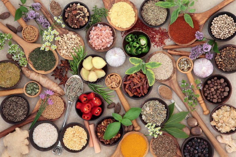 Condimento De La Comida De La Hierba Y De La Especia Imagen de archivo ...