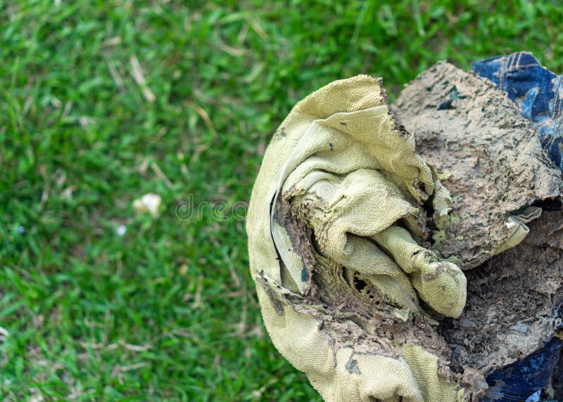 Condition of the Cloth that Has Been Eaten by Termites Stock Image ...
