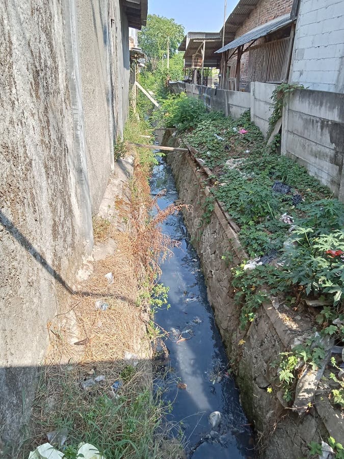 The condition of drainage stock photo. Image of flower - 335829280