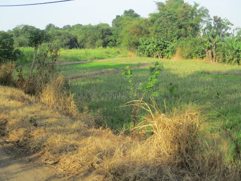 The Condition of the Road in the Middle of the Wilderness Surrounded by ...