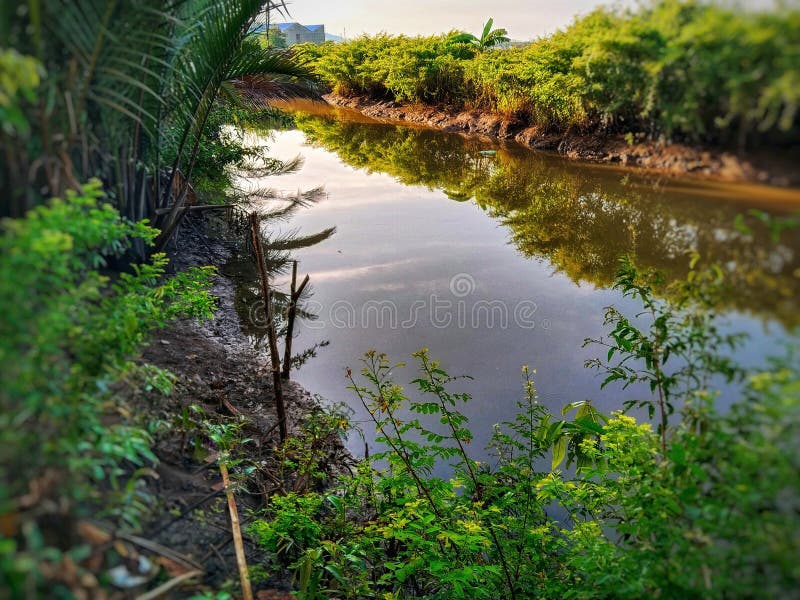 Matahari No Background Stock Photos - Free & Royalty-Free Stock Photos ...