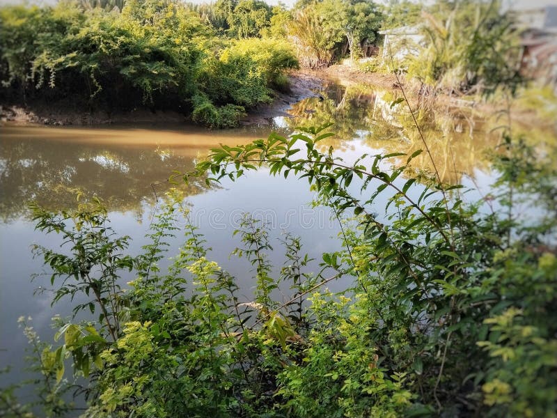 Matahari No Background Stock Photos - Free & Royalty-Free Stock Photos ...