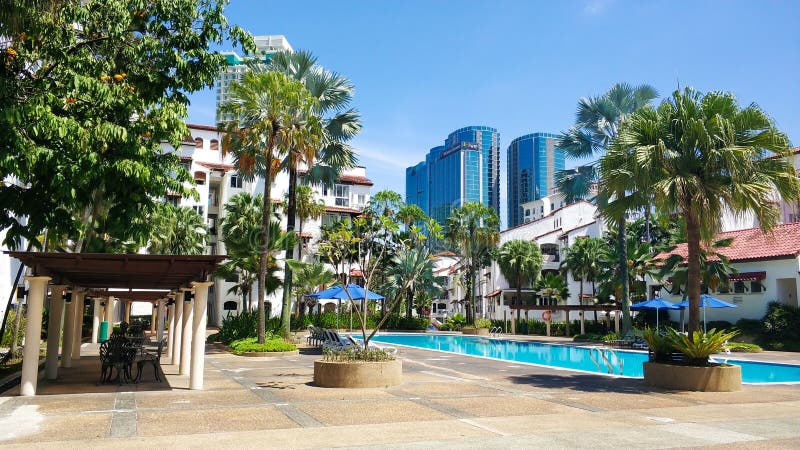 Condo Courtyard Pool on a Hot Summer Day Stock Image - Image of palm ...