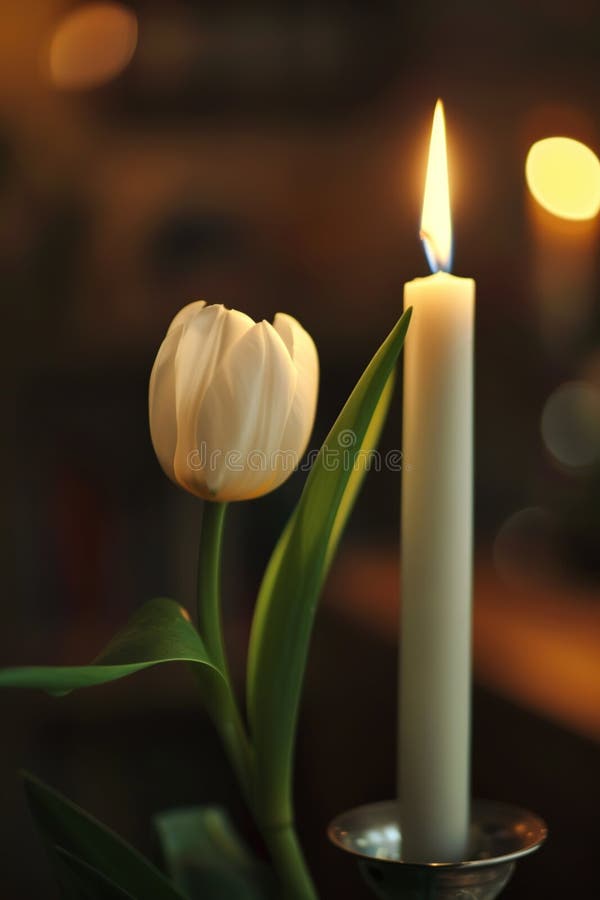 Condolence Card with Candle and a Tulip Flower Stock Illustration ...