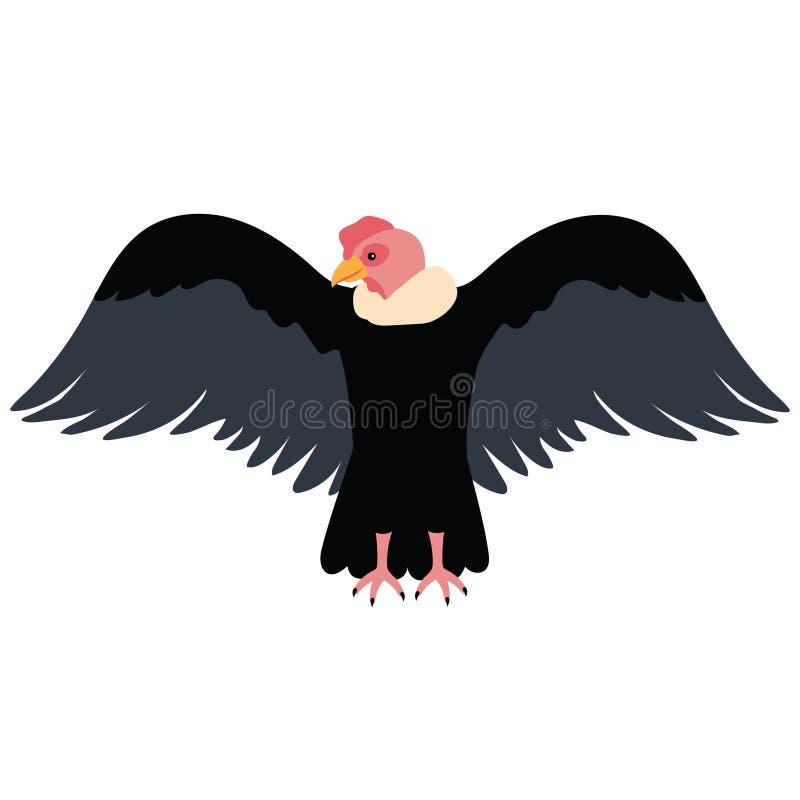 Condor Animal Bird Icon with Opened Wings Stock Vector - Illustration ...
