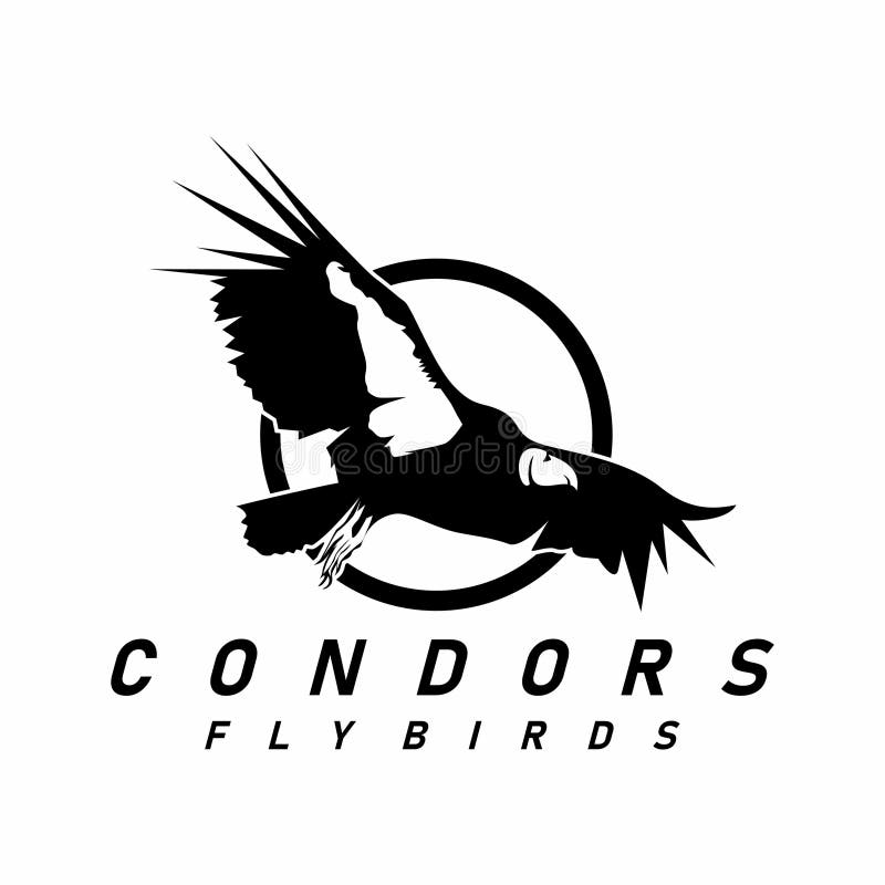 Condor Bird Logo Design Vector Stock Image - Illustration of symbol ...