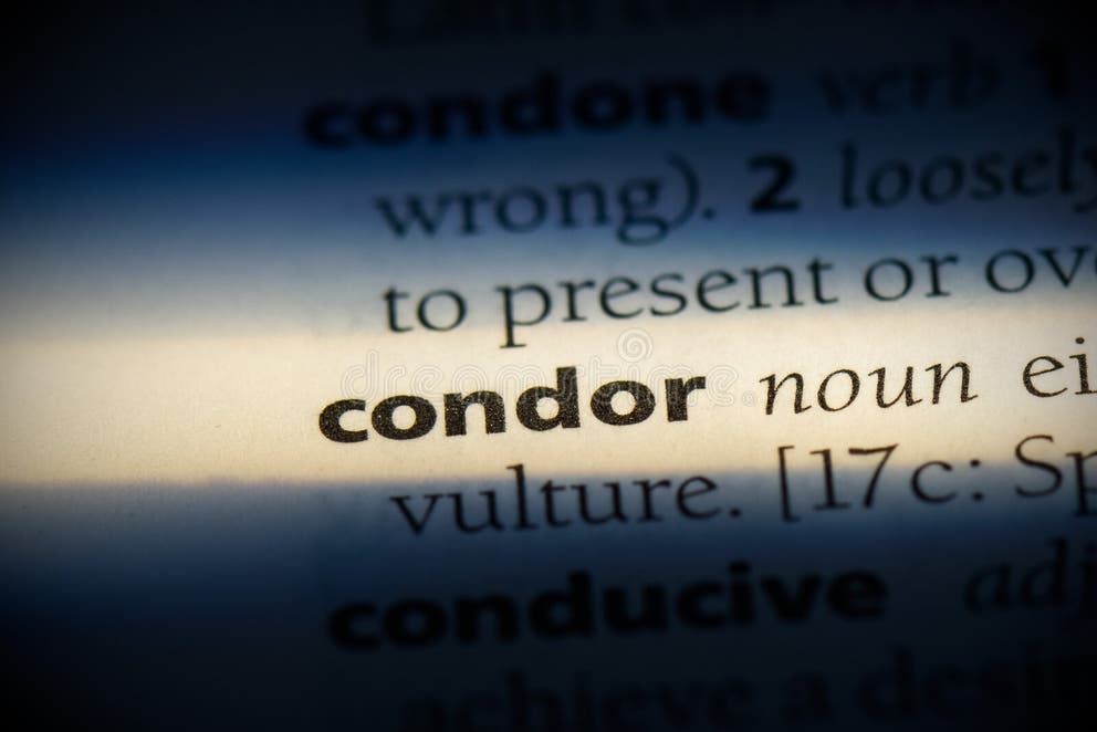 Condor stock image. Image of book, page, dictionary - 161392885